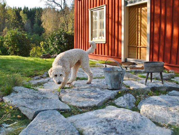 Skredsviks Hede 317 - Såld fritidshus (Äganderätt) - Bohuslän ...