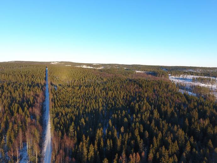 45 ha fin skog - Gräsmyr 2:24 - gård/skog till salu - Hemnet
