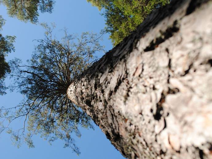 Borlänge Baggbo i Gylle Baggbo, Borlänge kommun - gård/skog till salu ...