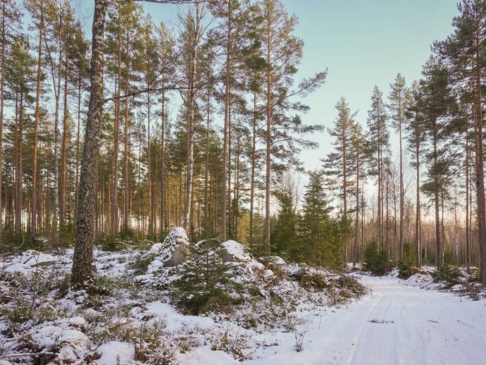 Heby Nora-Fallet 1:8 - gård/skog till salu - Hemnet
