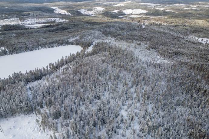 RAGUNDA FORS-BÖLE 2:19 i Bispgården, Ragunda kommun - gård/skog till ...