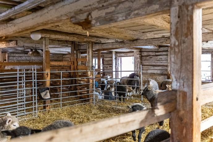 Larsbo 211 i Tierp, Tierps kommun - gård/skog till salu - Hemnet