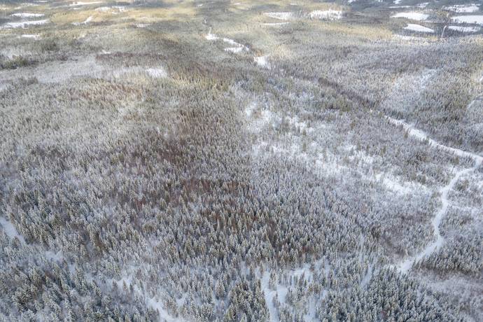 RAGUNDA FORS-BÖLE 2:19 i Bispgården, Ragunda kommun - gård/skog till ...