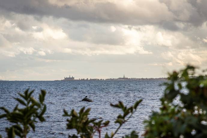 Fågelsången 31 i Domsten, Helsingborgs kommun - villa till salu - Hemnet