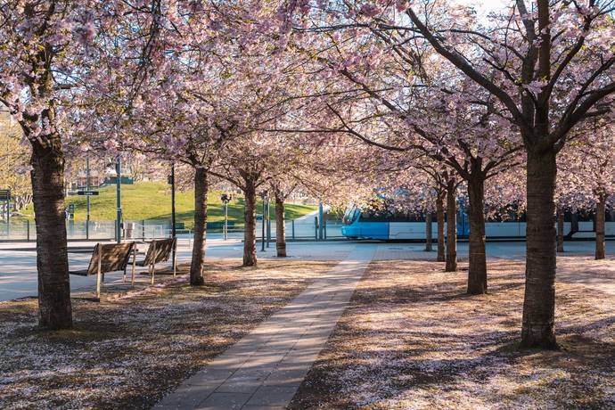 Lugnets allé 23, 7tr i Hammarby Sjöstad, Stockholms kommun - lägenhet ...
