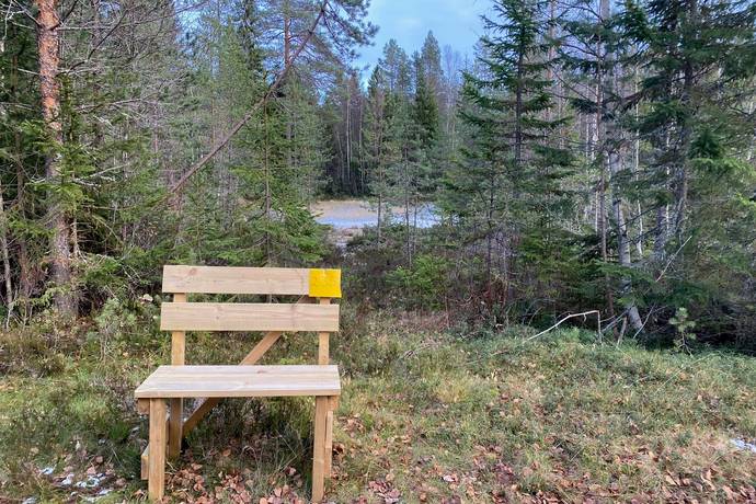 45 ha fin skog - Gräsmyr 2:24 - gård/skog till salu - Hemnet