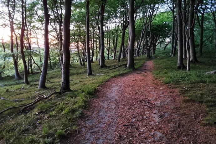 Fågelsången 31 i Domsten, Helsingborgs kommun - villa till salu - Hemnet