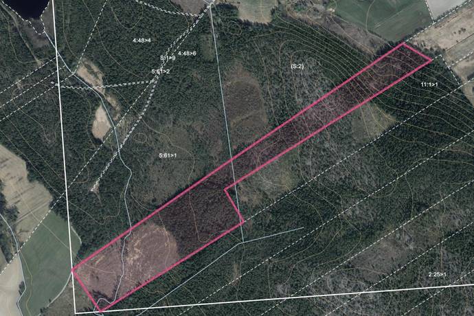 45 ha fin skog - Gräsmyr 2:24 - gård/skog till salu - Hemnet