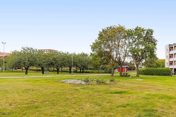 Sjögatan 14A - lägenhet till salu - Hemnet