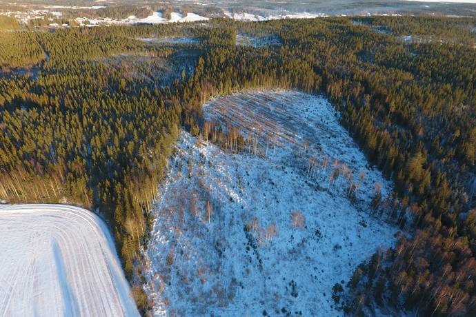 45 ha fin skog - Gräsmyr 2:24 - gård/skog till salu - Hemnet