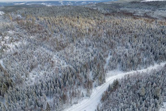 RAGUNDA FORS-BÖLE 2:19 i Bispgården, Ragunda kommun - gård/skog till ...